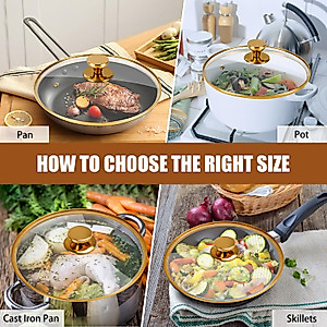 Tempered Glass Lid 10 Inch, Universal Glass Pan Lid with Metal Handle, Glass Covers for Pots,Pans and Skillets, Dishwasher Safe, Gold