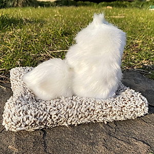 2 in 1 Simulation Furry Kittens Realistic Couple Cats on Rug/Home Shelf Car Decorative Statue - Pad Filled with Activated Carbon Beads (White)