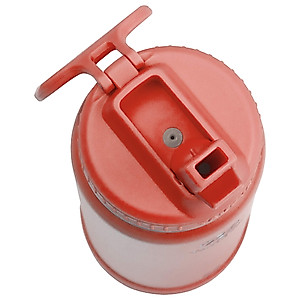 Takeya Actives Insulated Stainless Steel Water Bottle with Straw Lid, 22 Ounce, Coral