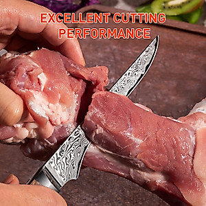 FUJUNI Damascus Chef Knife 8 inch, Boning Knife 5.5 inch VG-10 Cutting Core 67-Layer Damascus with Ergonomic Natural Wood handle, Gift Box