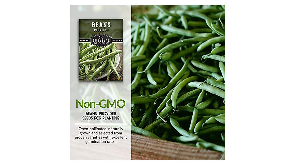 Grow Green Beans with Heirloom Provider Bush Seeds - Easy & Non-GMO