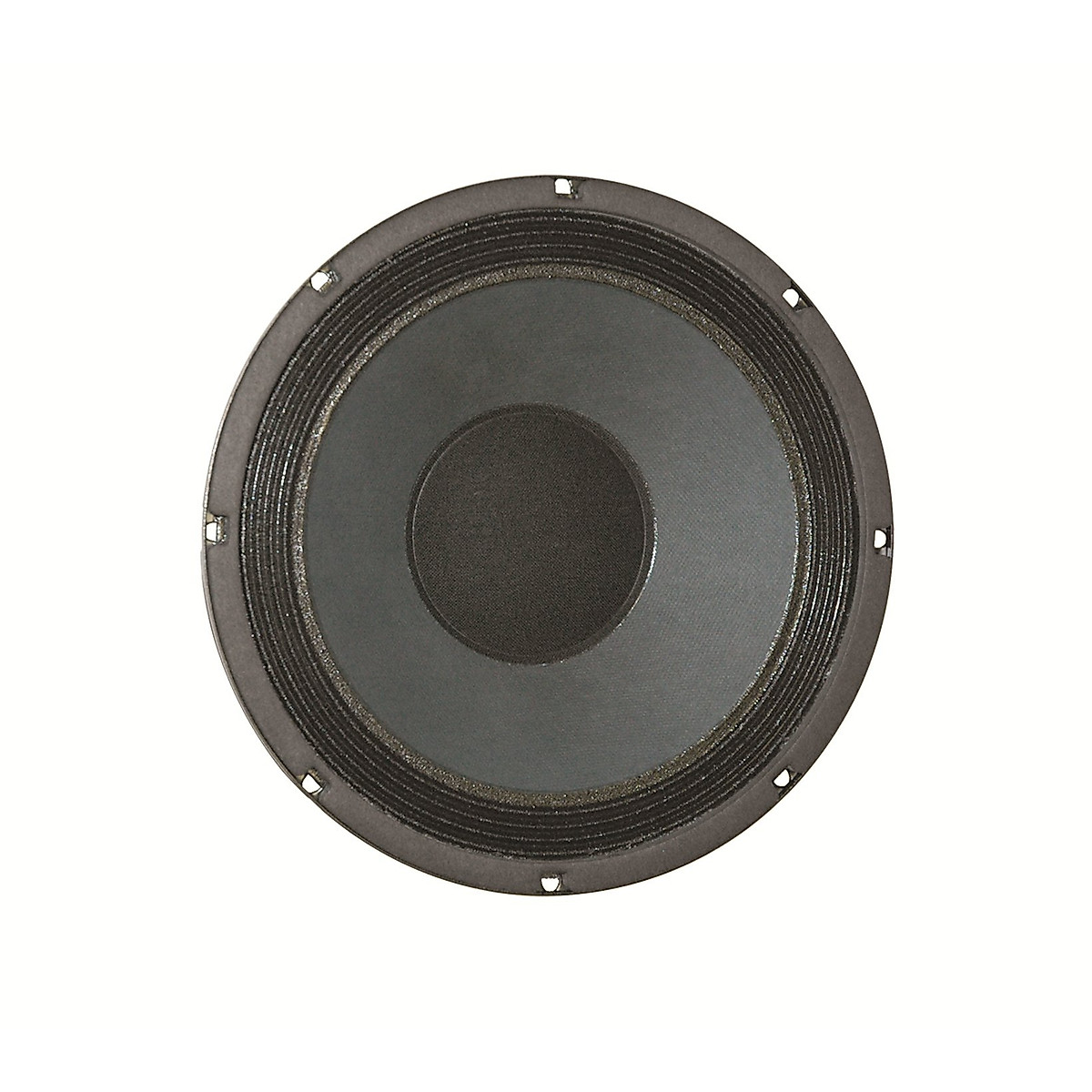 Legend BP102 10" Bass Amplifier Speaker, 400 Watts at 8 Ohms