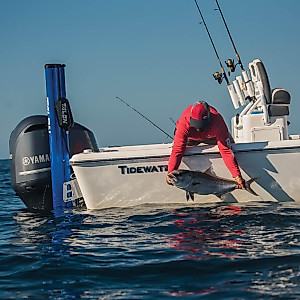 Talon 10 ft. - Blue/Black