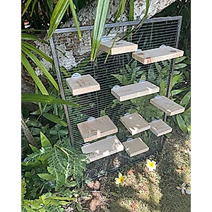 10 Piece Kiln Dried Pine Wood Ledges, Platfrom, Steps for Chinchillas, Rats, Birds and Caged Critters. Chinchilla Cage Accessories.