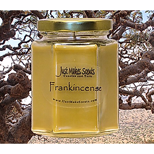 Frankincense Scented Blended Soy Candle by Just Makes Scents
