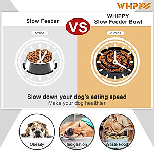 WHIPPY Slow Feeder Bowl for Small Medium Dog Fun Maze Feeder Dog Food Water Bowl Anti-Slip Puzzle Bowl No Chocking Healthy Interactive Bloat Stop Dog Bowl Dish,Medium,Black