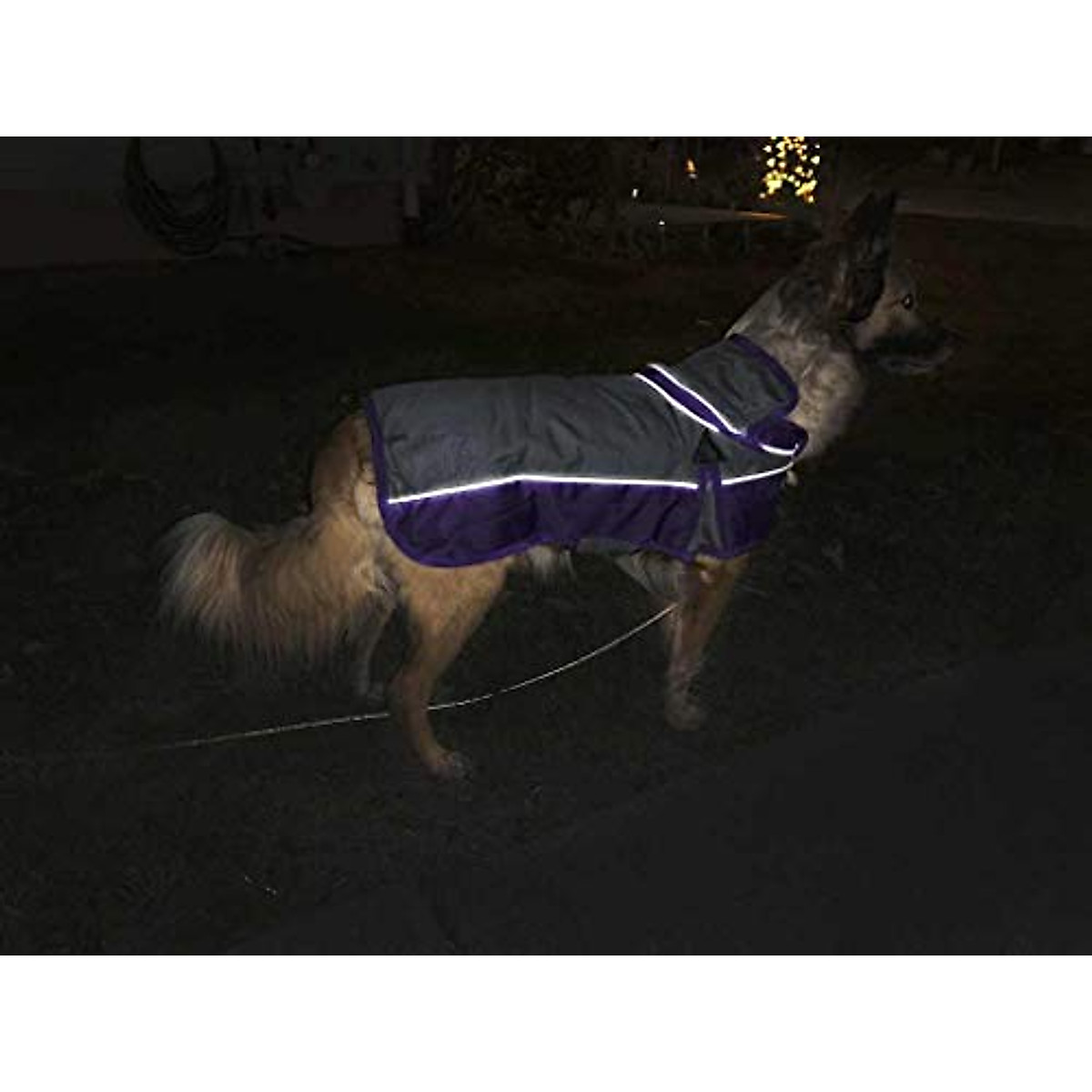 Derby Originals Ruff Pup 1200D Ripstop Waterproof Reflective Winter Dog Coat with Neck Cover and Harness Compatible Opening 220G - 17