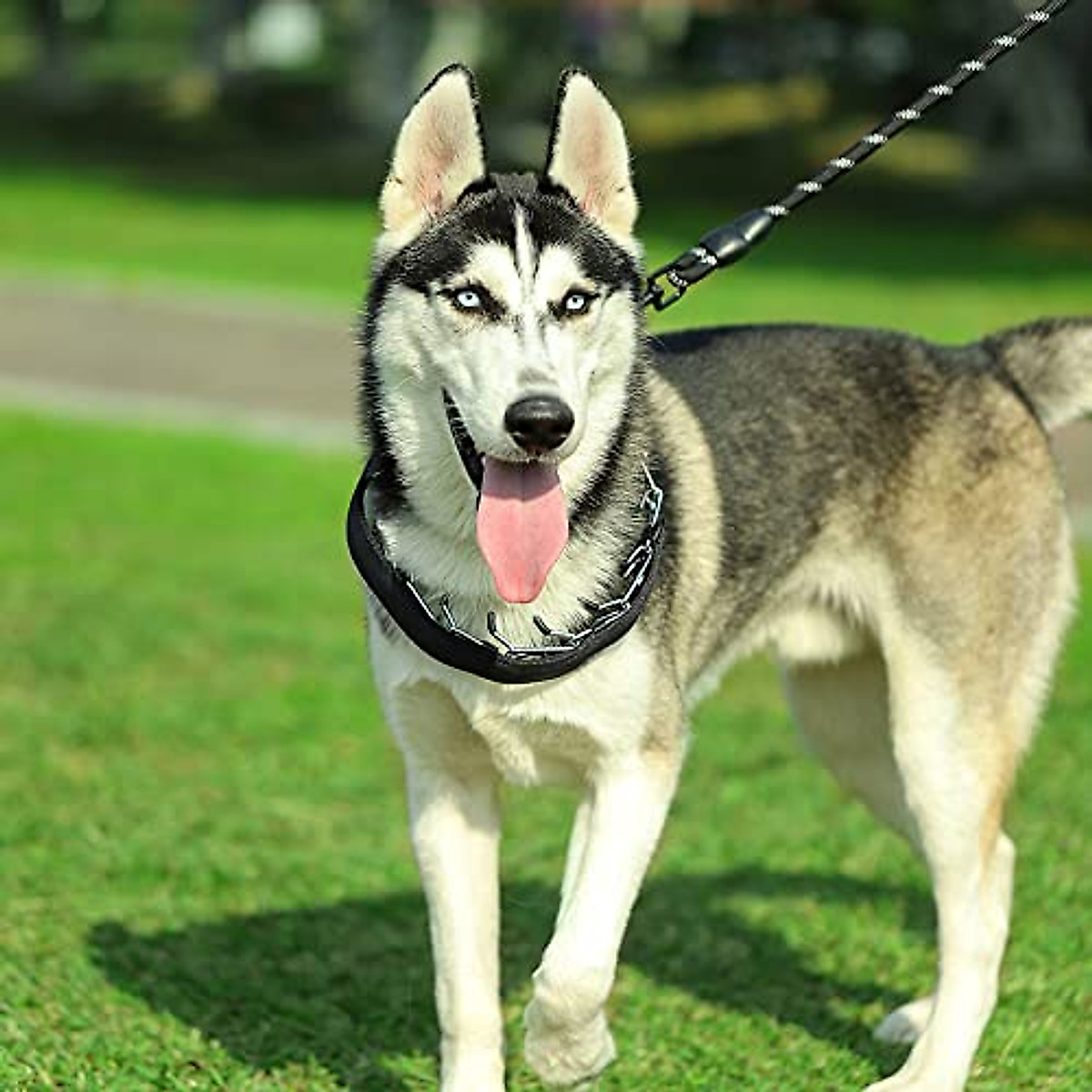 CBBPET Dog Prong Collar, Adjustable Dog Training Collar with Quick Release Buckle for Small Medium Large Dogs