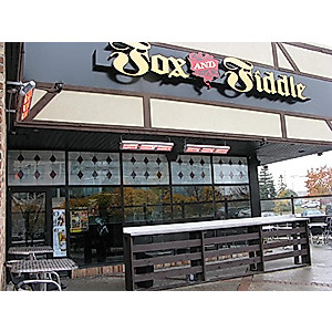 Solaria Electric Infrared Heater - Commercial-Grade, Indoor/Outdoor, 3000 Watt- 240 Volts