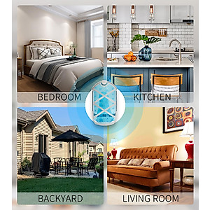 24 Pack Refill Cartridge Replacement Compatible with Zevo Plug-in Light Refill M364 M364A and Max