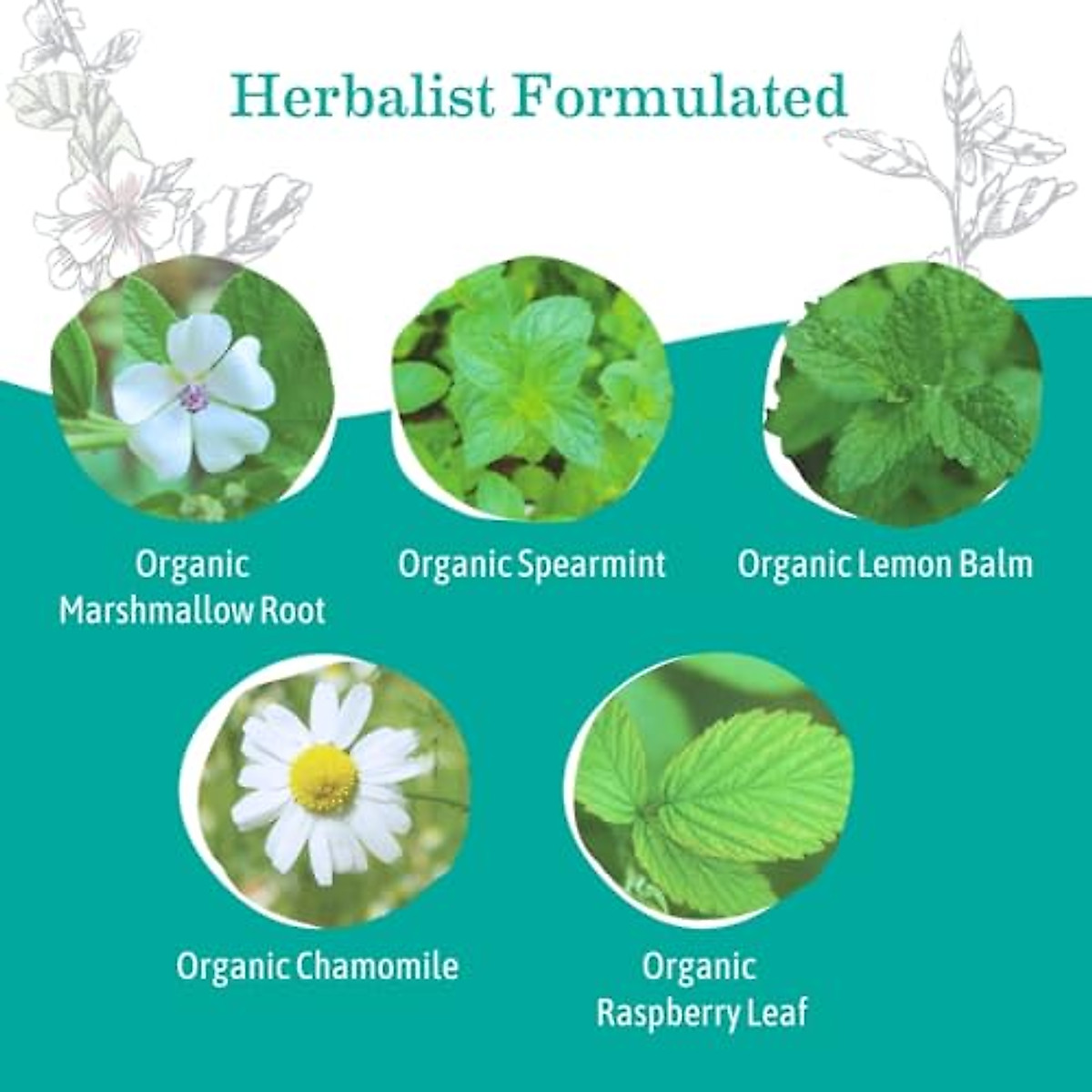 Earth Mama Organic Heartburn Tea | Pregnancy-Safe Soothing Herbal Blend with Marshmallow Root, Lemon Balm & Chamomile, 16 Teabags Per Box (3-Pack)