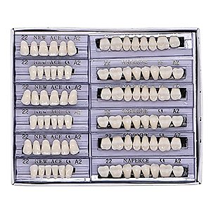 168 Pcs Dental Synthetic Resin Tooth Denture 6 Sets False Teeth 22 A2 Upper Lower Shade Dental for Halloween Horror Teeth (22 A2)