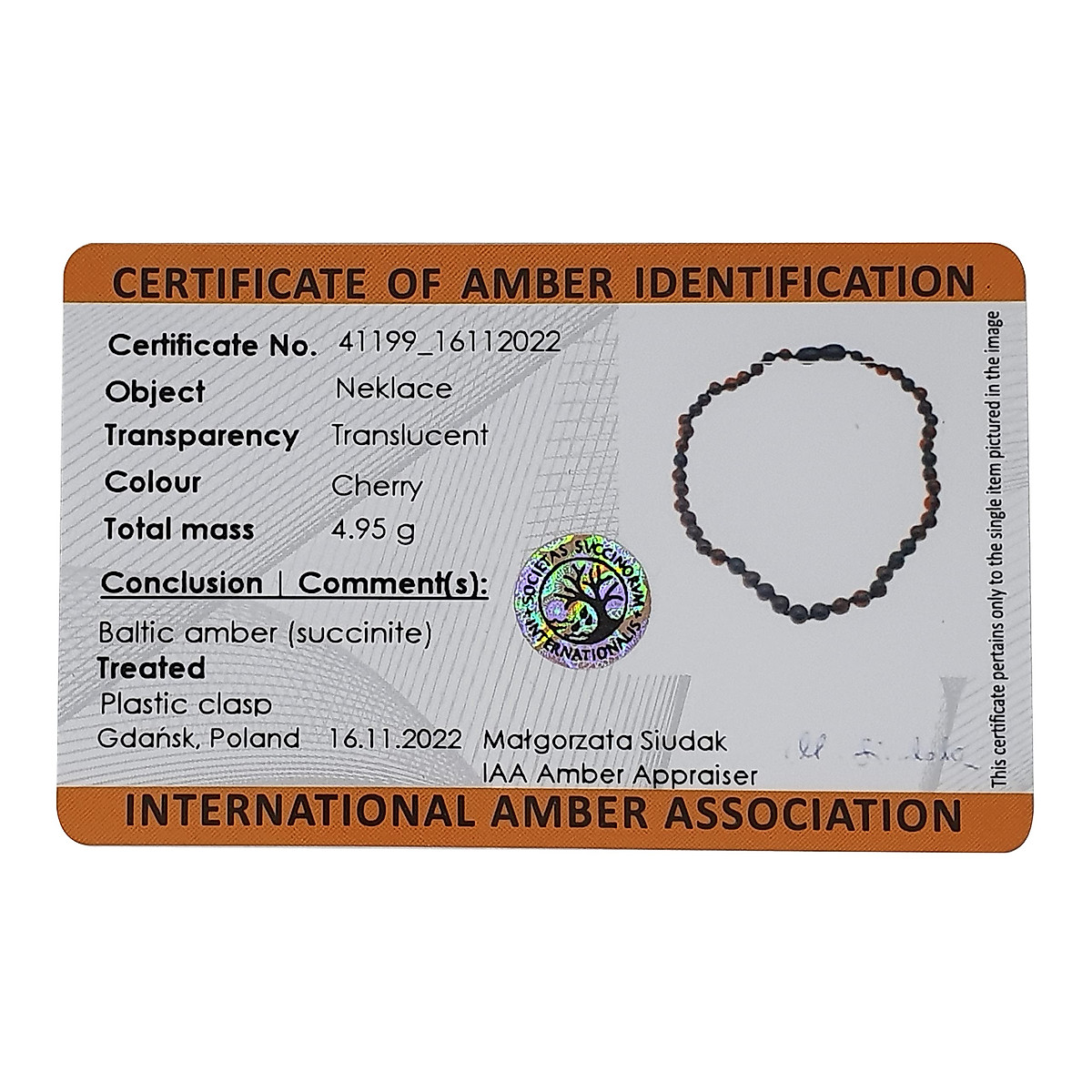 Genuine Amber Anklet From Baltic Sea Made with Unpolished Cherry & Shell Pearl 24 cm (9.4 Inches).