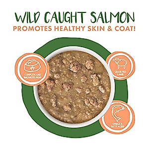 Weruva Classic Cat Stews, Stewy Lewis with Lamb, Chicken & Salmon In Gravy, 5.5oz Can (Pack of 8)