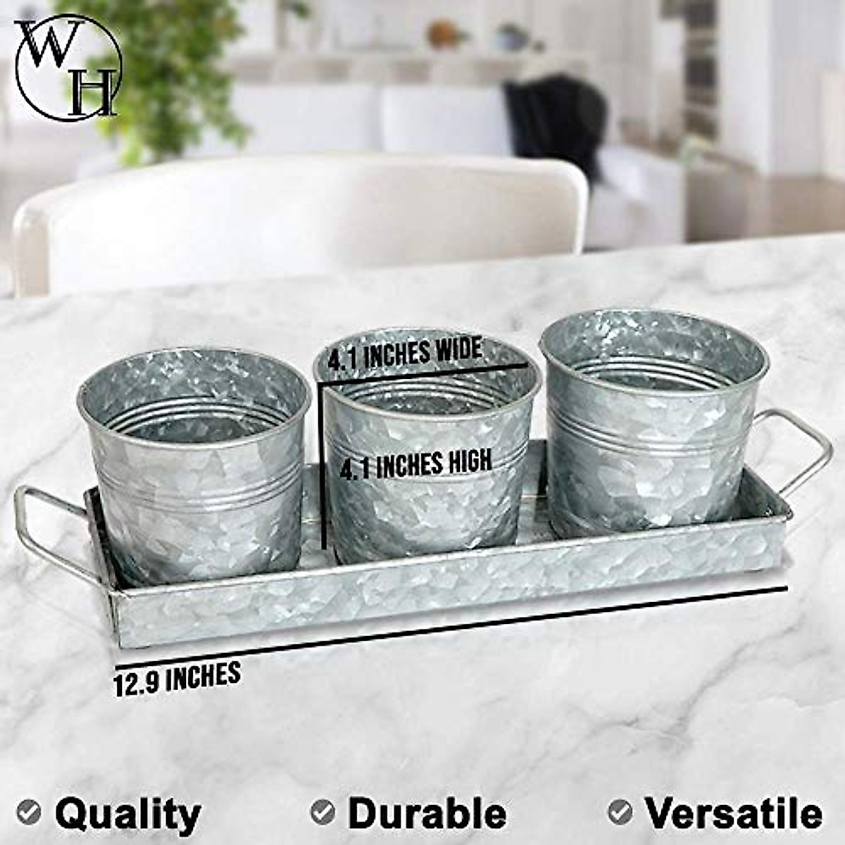 Farmhouse Herb Pots with Tray - Galvanized Vintage Planters