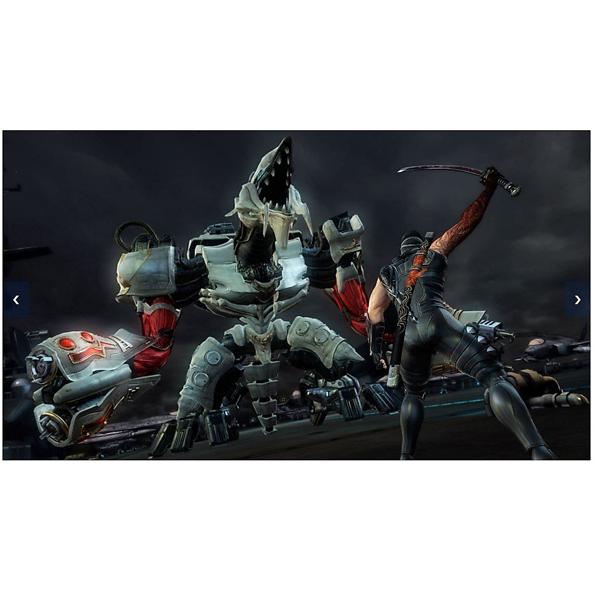 Ninja Gaiden: Master Collection (English) (Nintendo Switch)