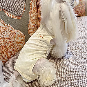 Recovery Suit for Dog After Surgery Cut Pet Recovery Shirt Dog Abdominal Wounds Bandages,Wound Protective Dog Onesize for surgery Female Dog Vest Prevent Licking,Substitute E-Collar（RSS08-Vyellow-M）