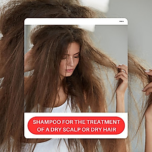 Mediceuticals X-Derma Dry Scalp & Hair Treatment Shampoo -Size: 8.45 oz/250 ml