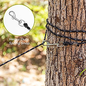 CHERPET Reflective Cat Leash - 30 ft Escape Proof Walking Lead Yard Long Leash, Durable Extender Leash Training Playing Outdoor for Cats Puppy Kitten Small Dogs Rabbit Small Animals