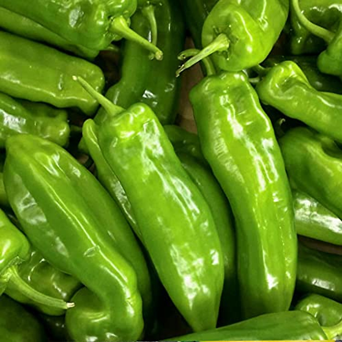 Cubanelle (Capsicum annuum.) 250mg Seeds for Planting, Pepper-Sweet, Italian Frying Pepper, Cuban Pepper., Pimiento de Cocinar de Cocinar, Open Pollinated, Non GMO, Vegetable Garden
