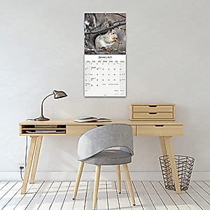 Squirrel Calendar - Cute Animal Calendar - Calendars 2022 - 2023 Wall Calendars - Animal Calendar - Squirrels 16 Month Wall Calendar by Avonside