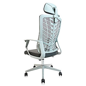 CLATINA Ergonomic High Swivel Executive Chair with Adjustable Height Fabric Headrest Lumbar Support and Mesh Backrest for Home Office, Grey 1 Pack
