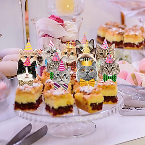 Wxiben Cat Birthday Party Decorations - 40PCS Cat Cupcake Toppers Decor Cute Cat Birthday Cake Decorations Supplies Kitten Pet Cupcake Toppers for Birthday Party Baby Shower Cats Face Cake Toppers