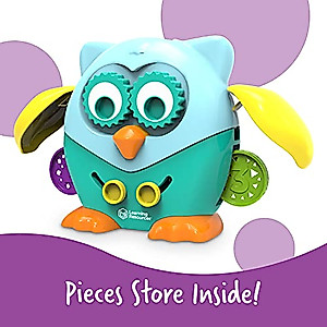 Learning Resources Hoot the Fine Motor Owl - 6 Pieces, Ages 18+ Months Toddler Learning Toys, Fine Motor and Sensory Toys for Toddlers, Educational Toys for Toddlers