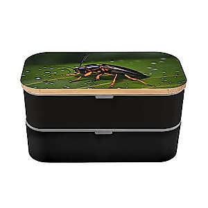 Insects On Leaves Adult Lunch Box, Bento Box, With Cutlery Set Of 3, 2 Compartments, Rectangular, Lunch Box For Adults