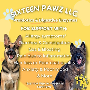 Sixteen Pawz Probiotics, Prebiotics, & Digestive Enzymes for Dogs| Limited Ingredients| Organic |Digestive Support |Allergy Relief |Immune Support| Reduces Inflammation| Diarrhea & Gas Relief