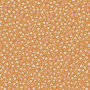 The Softer Side Fat Quarter Bundle (12 Pieces) by Amy Sinibaldi for Art Gallery 18 x 21 inches (45.72 cm x 53.34 cm) Fabric cuts DIY Quilt Fabric