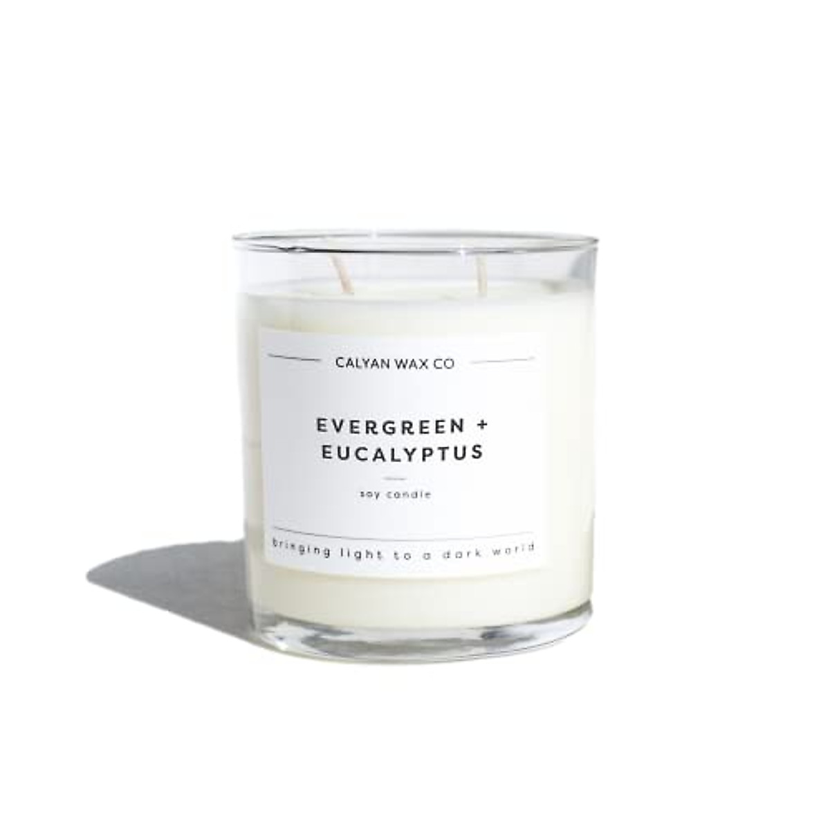 Evergreen & Eucalyptus Scented Candle, Soy Wax Candles for The Home Scented with Phthalate Free Oils, 3.5 x 3 inch, 8.8 oz, 37 Hour Burn Time Fall Candles & Home Decor in Glass Jar - Calyan Wax