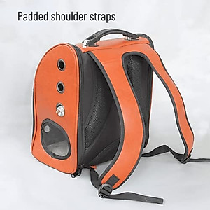 Barn Eleven Portable Travel Pet Carrier Backpack,Space Capsule Bubble Design,Waterproof Handbag Backpack for Small and Medium Birds Parrots Budgerigar Cockatiel