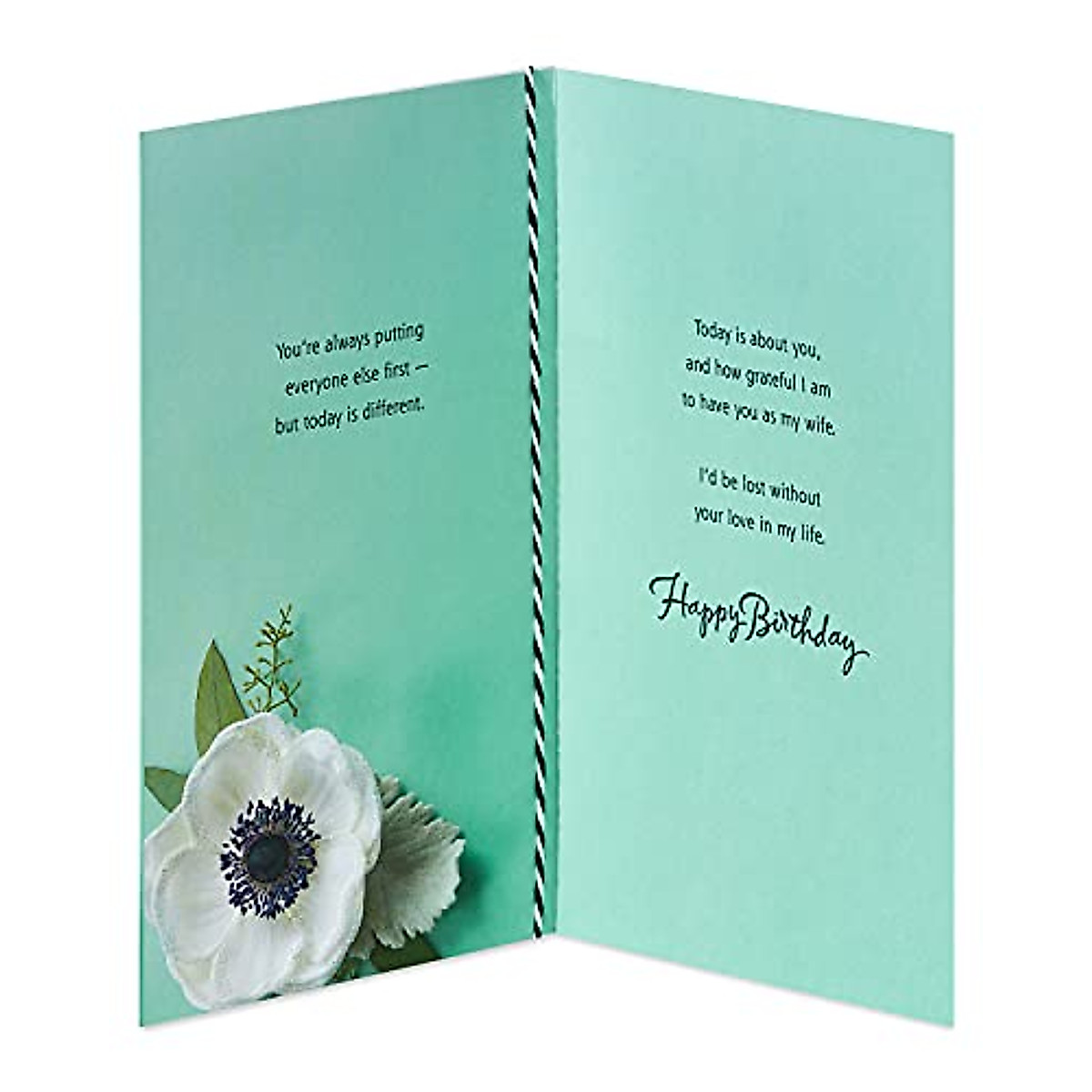 American Greetings Birthday Card for Wife (My Incredible Wife)