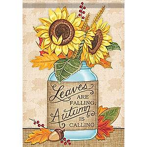 US Flag Store 49066 Carson Garden Flag, Yellow, Blue Brown