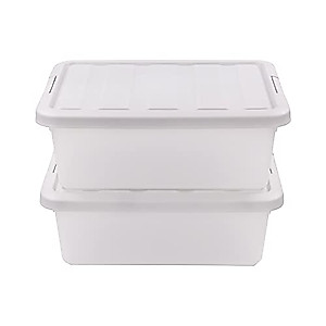 Teyyvn 14 L Clear Storage Box, 2-Pack Plastic Storage Bin with Gray Lid