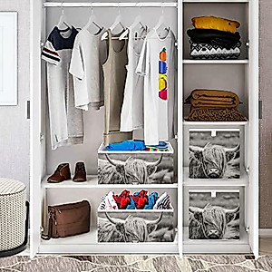 Kigai Storage Basket Highland Cow Foldable Storage Bin 11 X 11 X 11 Inches Cube Storage Baskets Box for Shelves Closet Laundry Nursery Bedroom Home Decor