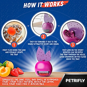 UV Fruit Fly Traps For Indoors + Sticky Traps 2pk- Fruit Fly Traps Indoor For Home - Fruit Fly Trap & Gnat Traps For House Indoor - Gnats And Fruit Fly Killer Indoor - Gnat Catcher,Gnat Trap,Nat Traps