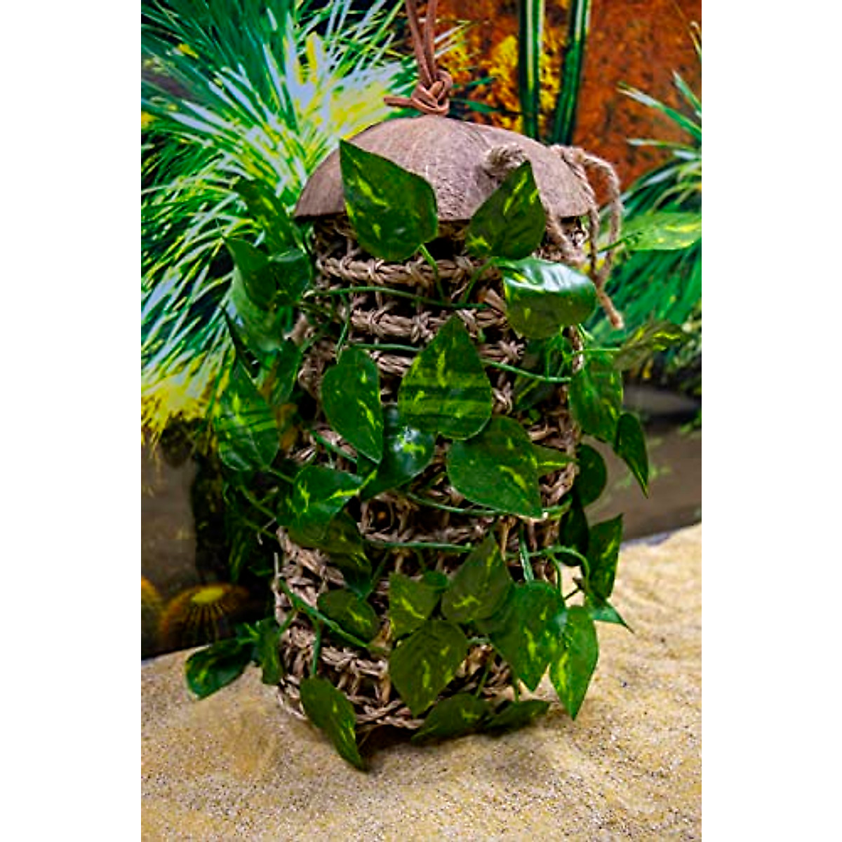 Lizard Lounger Penn-Plax Reptology for Bearded Dragons, Iguanas, and Other Reptiles - Adjustable Hanging (Coconut Climber)