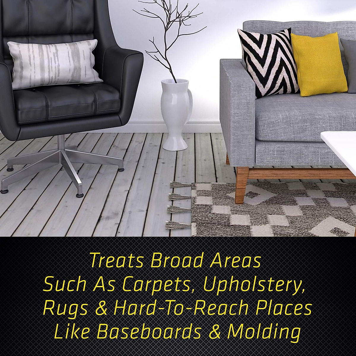 Black Flag Flea & Tick Killer Home Treatment with Growth Regulator Spray, 1 gallon