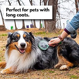 Cedarcide Flea + Tick Pet Brush (4 oz Pack) | Durable Grooming Brush Effectively Applies Cedarcide Original Biting Insect Spray to Kill + Repel Fleas Ticks & Mosquitoes |for Cats and Dogs