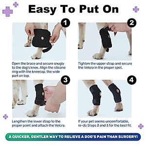 IEhotti Dog Leg Brace for Rear Leg/Hock/Ankle, Dog Hip Brace for Bottom Joint Post-Operative Recovery, Strong Support Help, Dog Braces for Torn ACL CCL Leg Injuries, 1 Pair, Medium