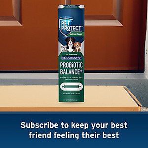 Pet Protect from The Makers of Advantage Vet-Formulated Probiotic Balance+ Dog Supplement | Oral Gel | 32g
