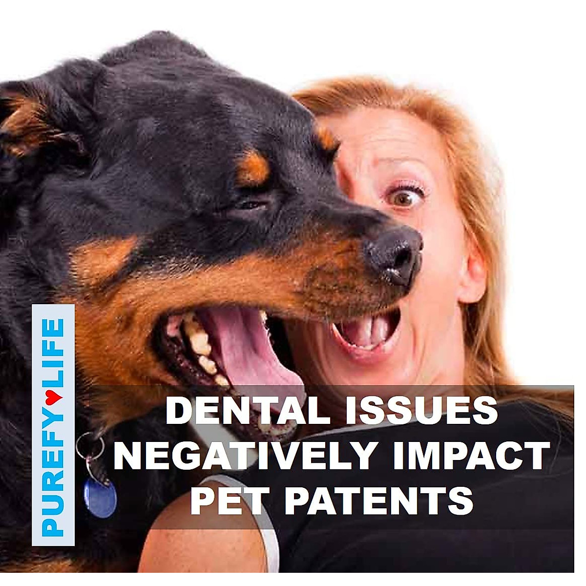 PUREFY Pet Dental and Breath Spray. Instantly Removes Bad Breath Odor. Helps Keep Pet Breath Fresh and Teeth Clean - Supports Gum Health. Cleared for Frequent Use.