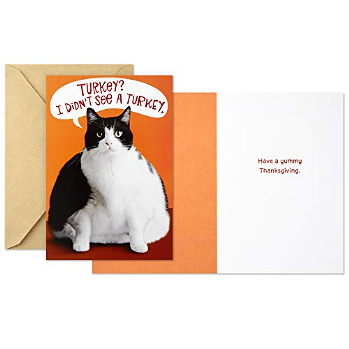 Hallmark Funny Shoebox Funny Thanksgiving Card Assortment (6 Cards with Envelopes)