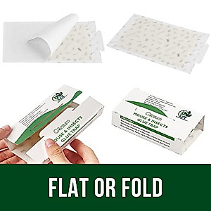 Garsum 6 Pack Mouse Traps Indoor Sticky Glue Board for Mice Roach Spiders Snakes Pest Trap