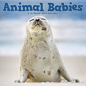 2023 Animal Babies Mini Wall Calendar
