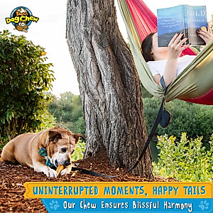 Tibetan Dog Chew Yak Cheese Sticks - Natural Treats for Small Dogs, Longer Lasting, Digestible, Promotes Dental Health, Rawhide, and Grain-Free, Ideal for Aggressive Chewers, 5-Pack