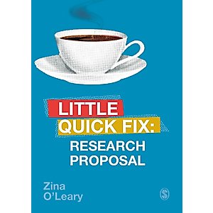 Research Proposal: Little Quick Fix