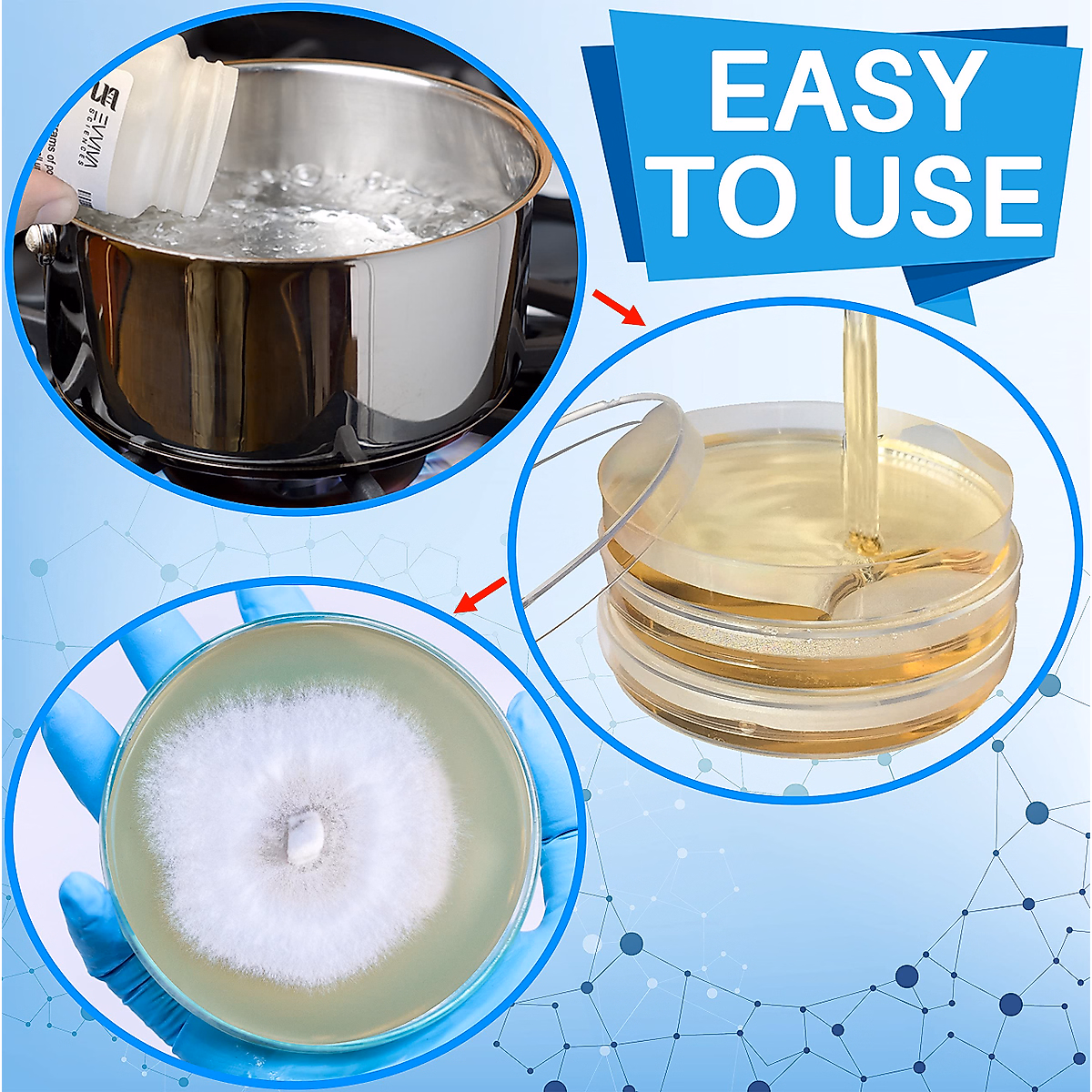 Malt Extract Agar Powder 100g by Evviva Sciences, Can Make Over 100 Agar Petri Dishes, for Mold & Fungus, Ideal for Mushrooms & Science Projects